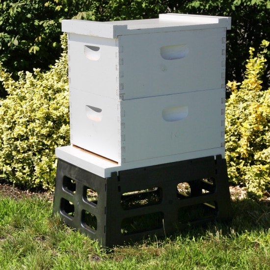 Plastic Hive Stand | Barker's Beehives & Supplies
