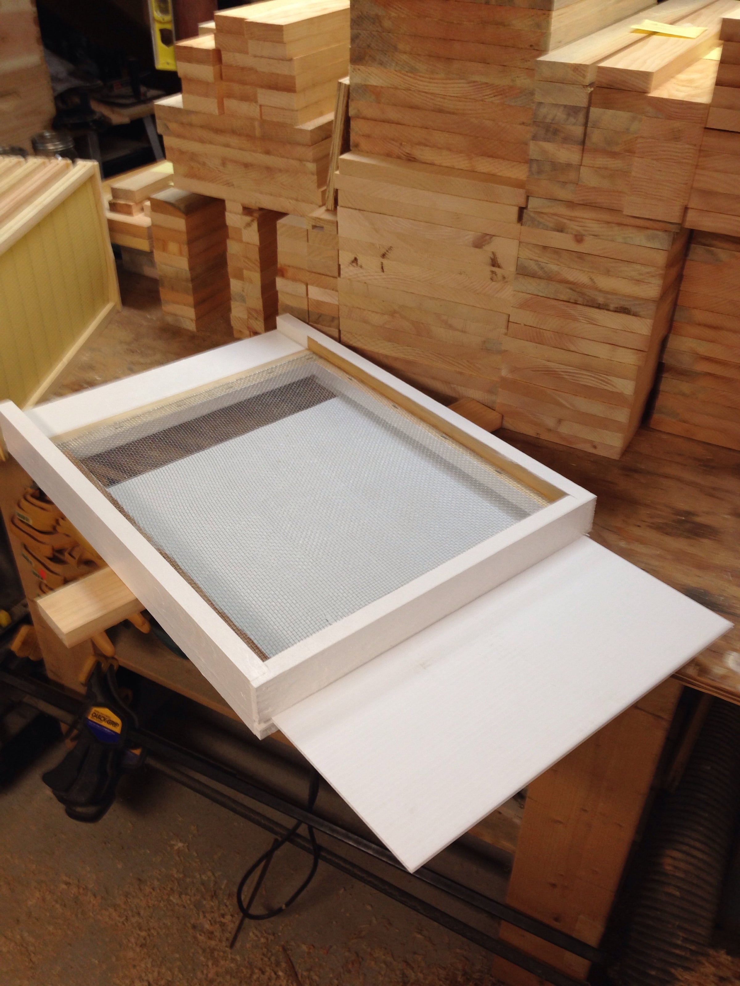 Screen Bottom Board | Barker's Beehives & Supplies