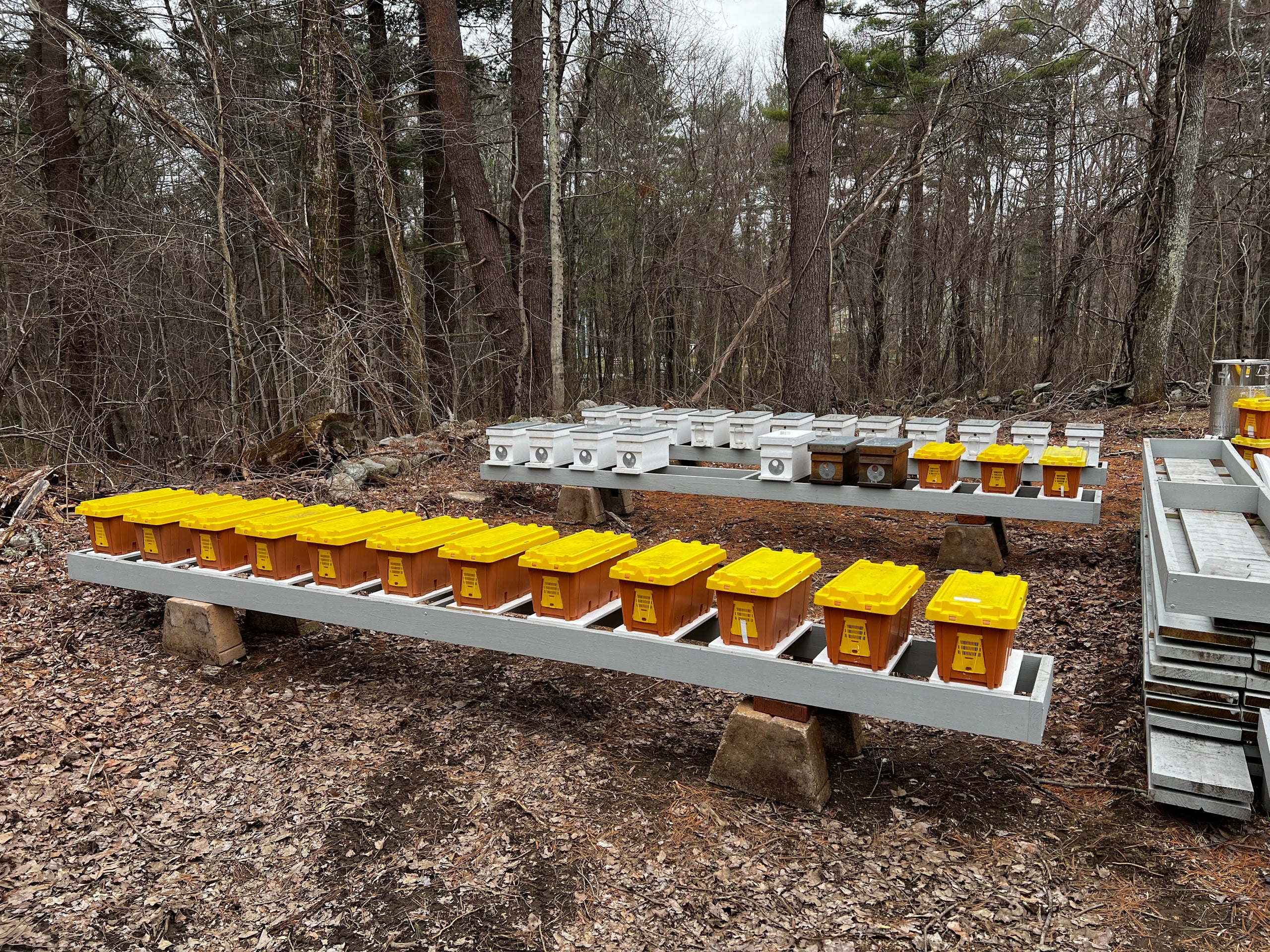 Local & POL-Line NUCs - 2025 | Barker's Beehives & Supplies